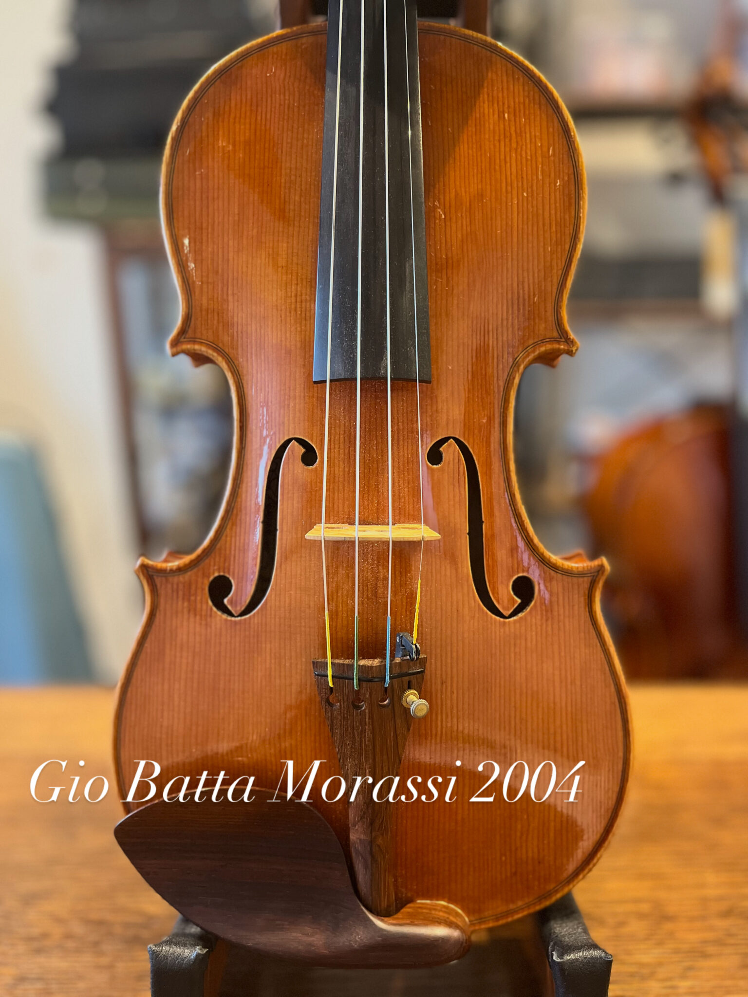 Gio Batta Morassi 2004 | Astro Stringsアストロストリングス